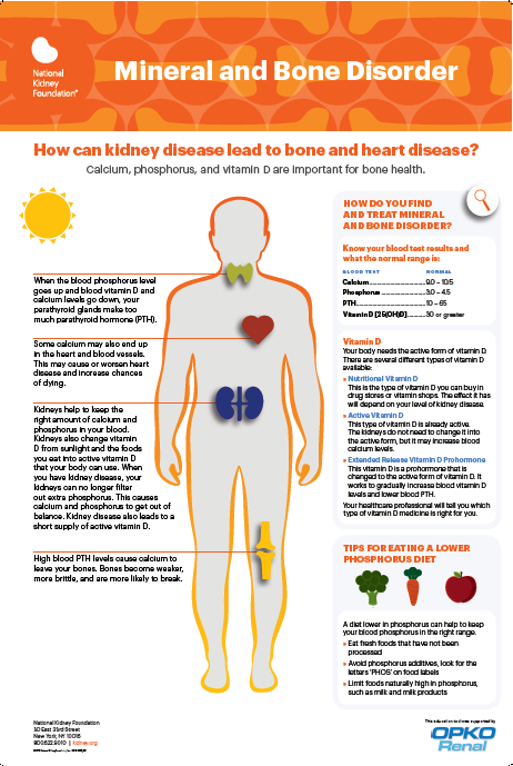 Mineral and Bone Disorder: Resources for Patients | National Kidney ...