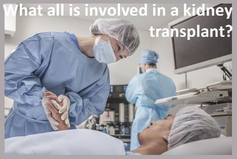 doctor holding the hand of the kidney transplant patient.jpg | National ...